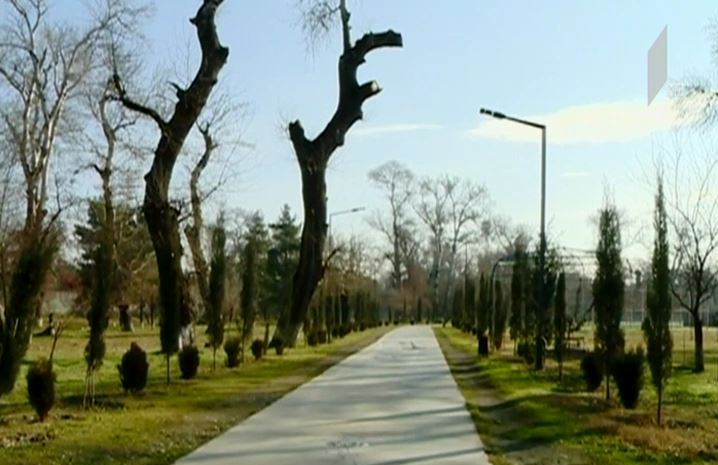 როგორი იქნება რუსთავის პარკი - 1TV მოამბე