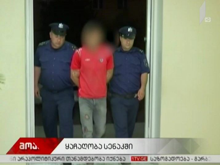 შსს-მ სამეგრელოში ორგანიზებული დანაშაულებრივი ჯგუფის წევრები დააკავა ...