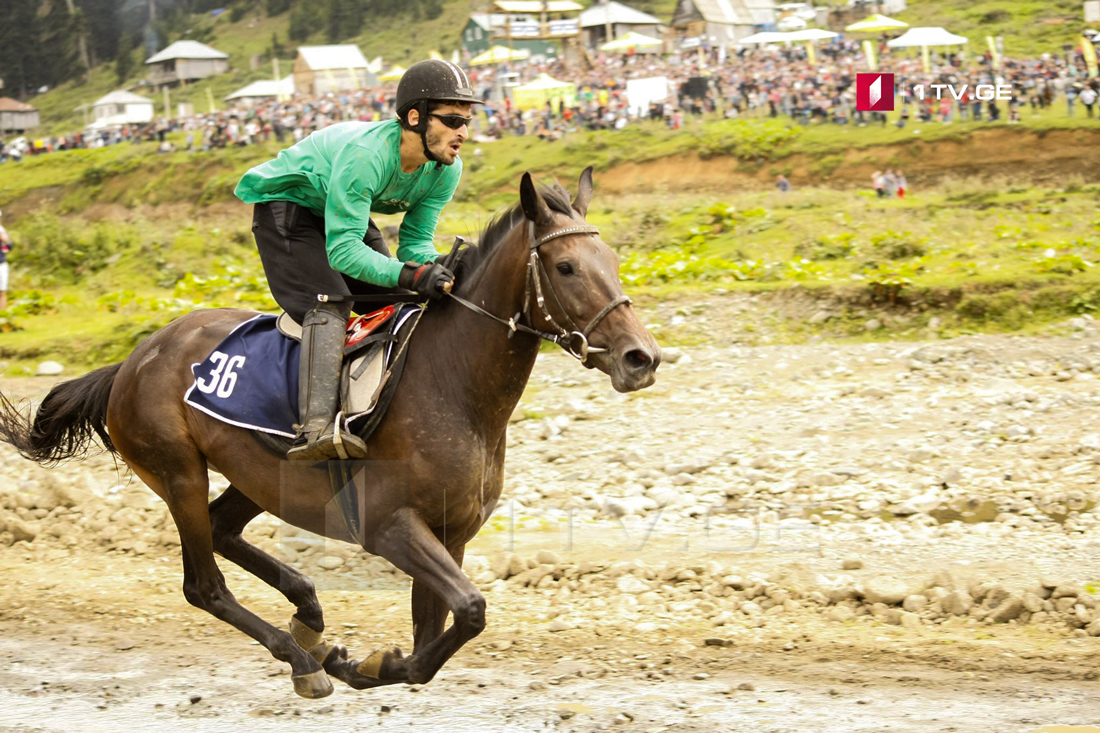 ბახმაროში ტრადიციული დოღი - „ბახმაროს თასი 2018“ გაიმართა [ფოტოამბავი ...