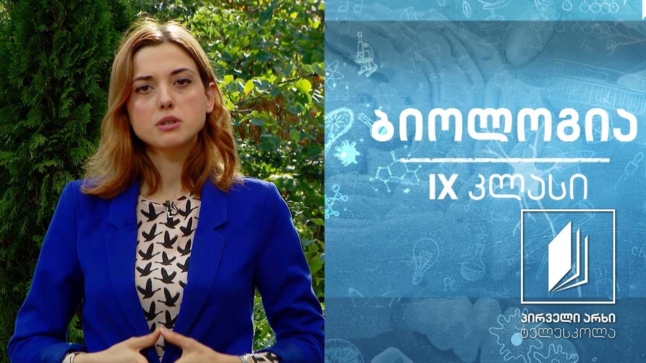 ბიოლოგია Ix კლასი გაღიზიანებადობა გამოყოფა და მოძრაობა ტელესკოლა 1tv
