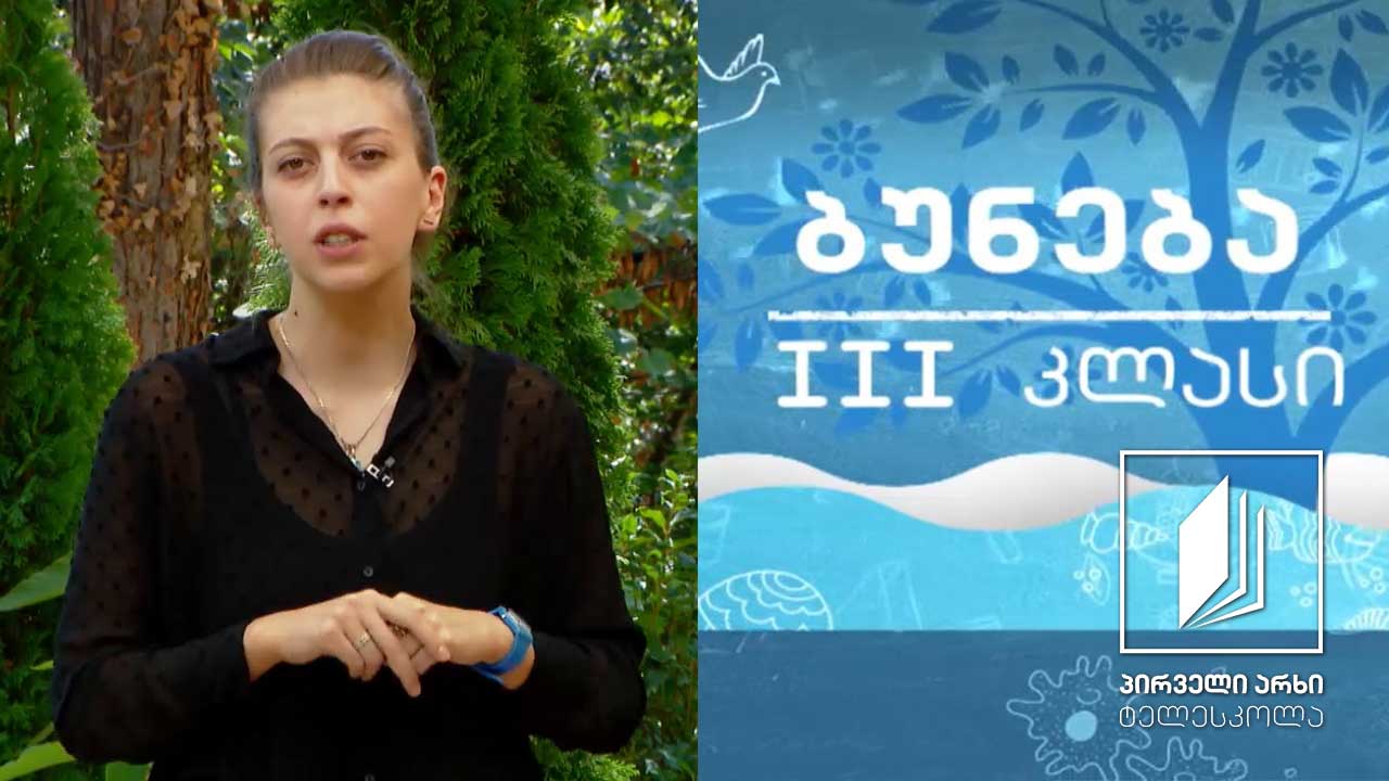 ბუნება, III კლასი - მზის სისტემა - დედამიწა ჩვენი პლანეტა; დღე და ღამე ...