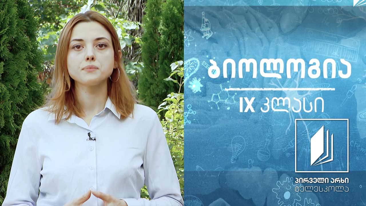 ბიოლოგია Ix კლასი მიტოზი და მისი მნიშვნელობა ტელესკოლა 1tv