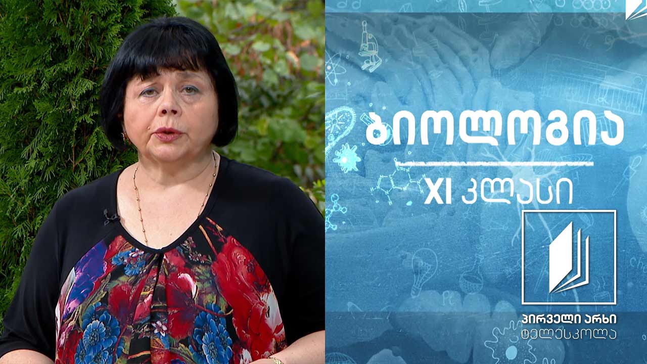 ბიოლოგია Xi კლასი გამეტოგენეზი მეიოზი ტელესკოლა 1tv