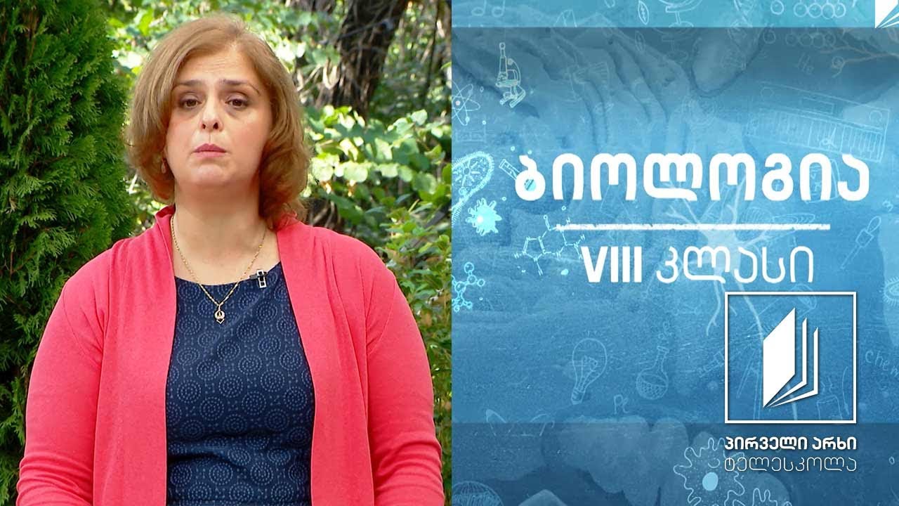ბიოლოგია Viii კლასი კუნთოვანი სისტემა აგებულება და ფუნქციები