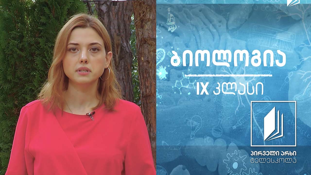 ბიოლოგია Ix კლასი გენები და მათი დამემკვიდრება ტელესკოლა 1tv