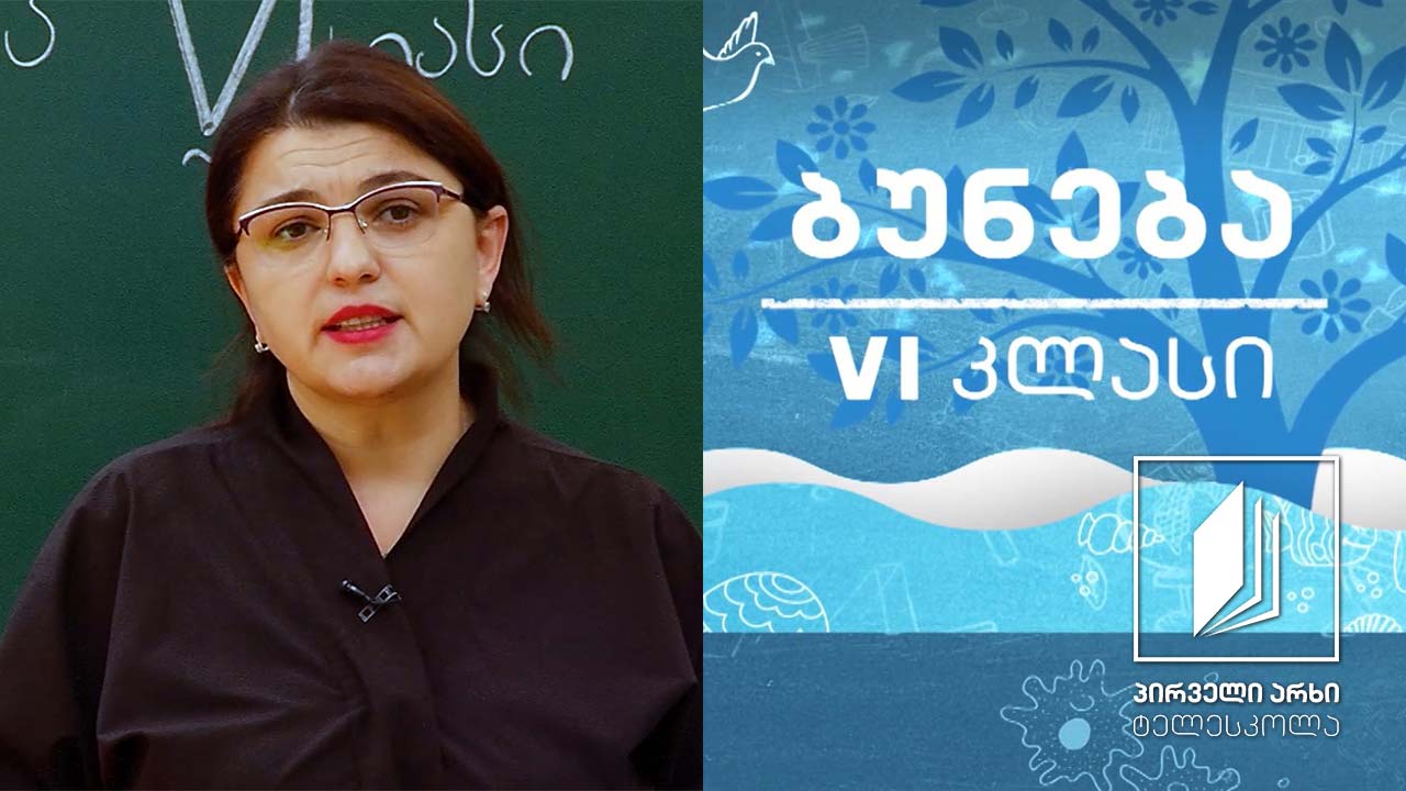 ბუნება Vi კლასი სუფთა ნივთიერება და ნარევი ტელესკოლა 1tv