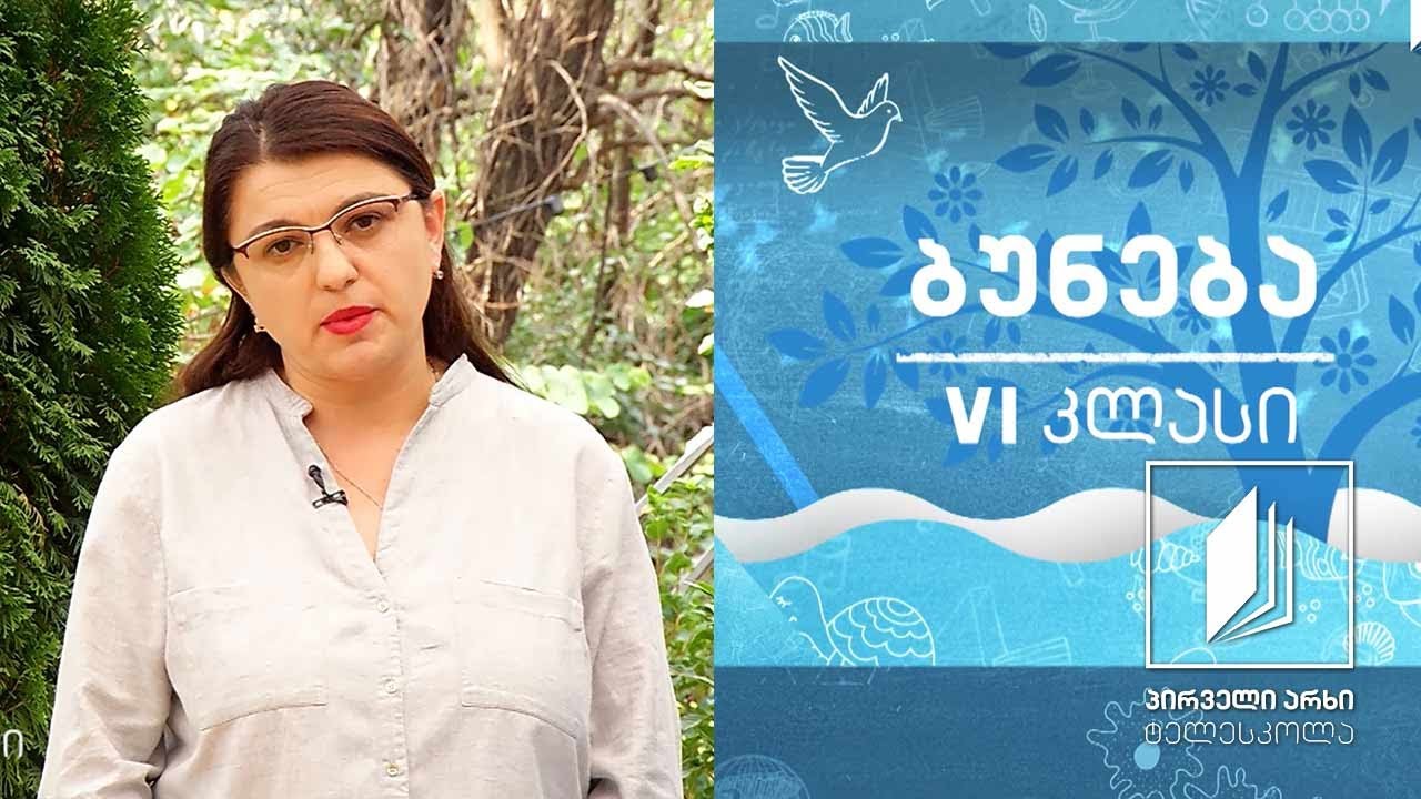 ბუნება Vi კლასი საშიში ნივთიერებები ქიმიური დამწვრობა და მოწამვლა