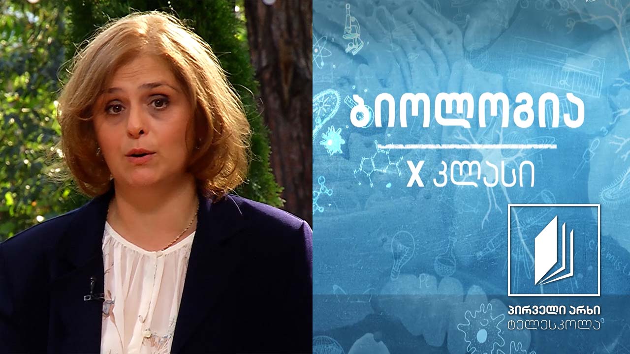 ბიოლოგია X კლასი ფოტოსინთეზი პლასტიკური ცვლა ტელესკოლა 1tv