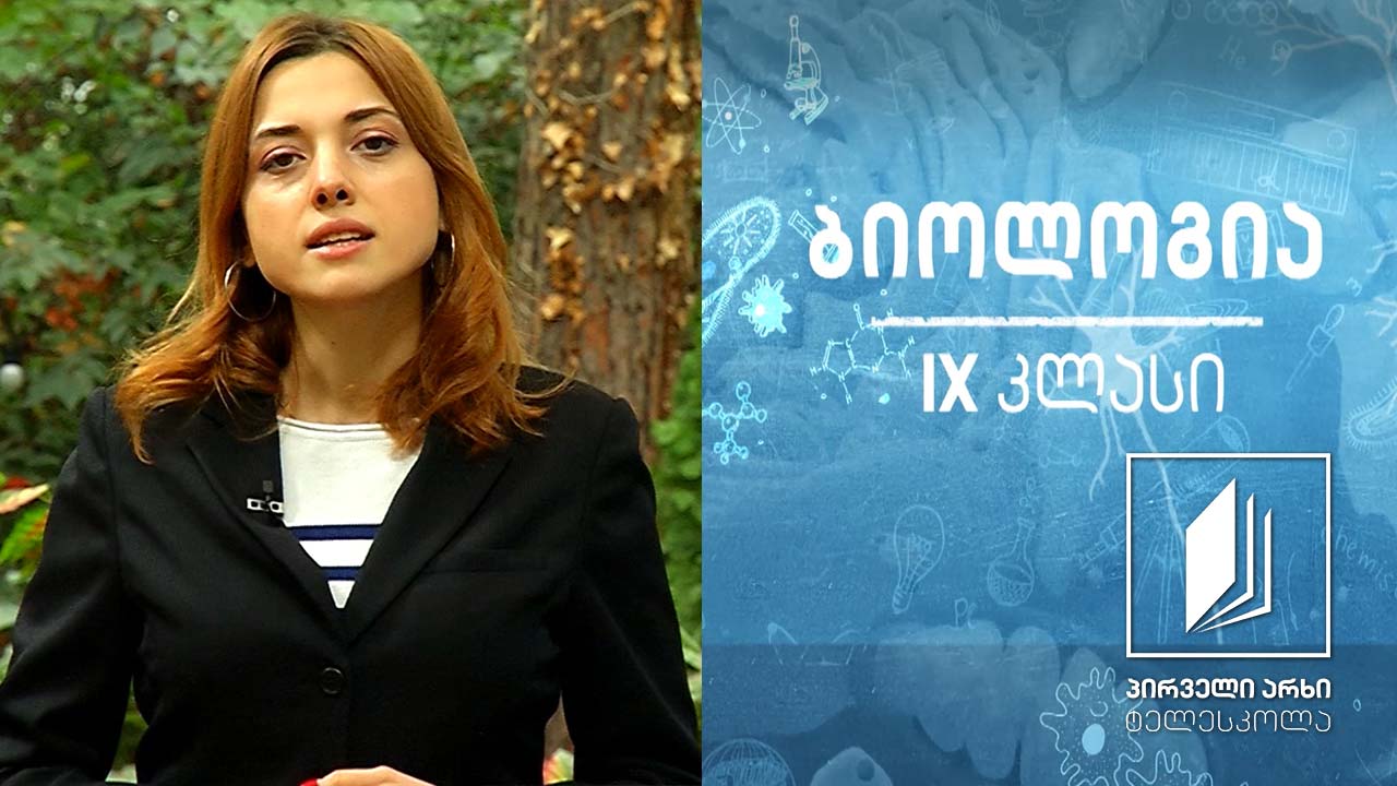 ბიოლოგია Ix კლასი ალელური გენების ურთიერთქმედება ტელესკოლა 1tv