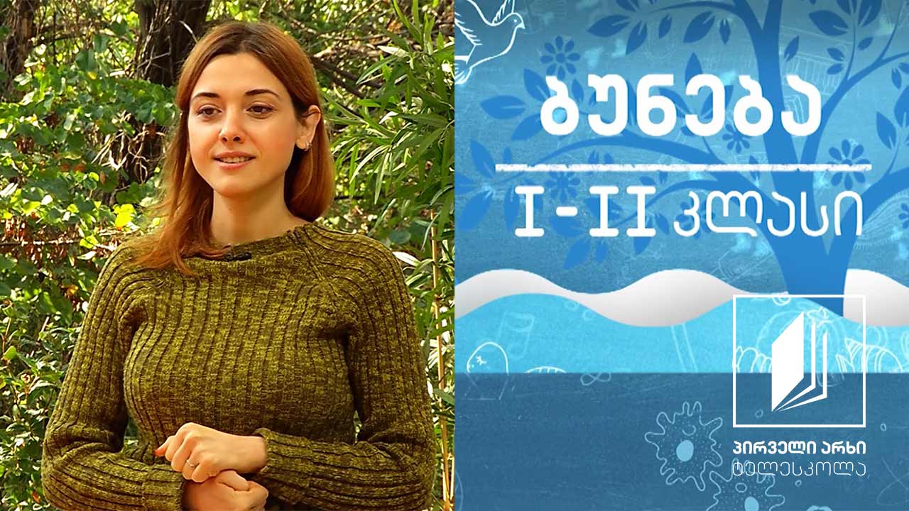 ბუნება I Ii კლასი მხოხავი ცხოველები ტელესკოლა 1tv