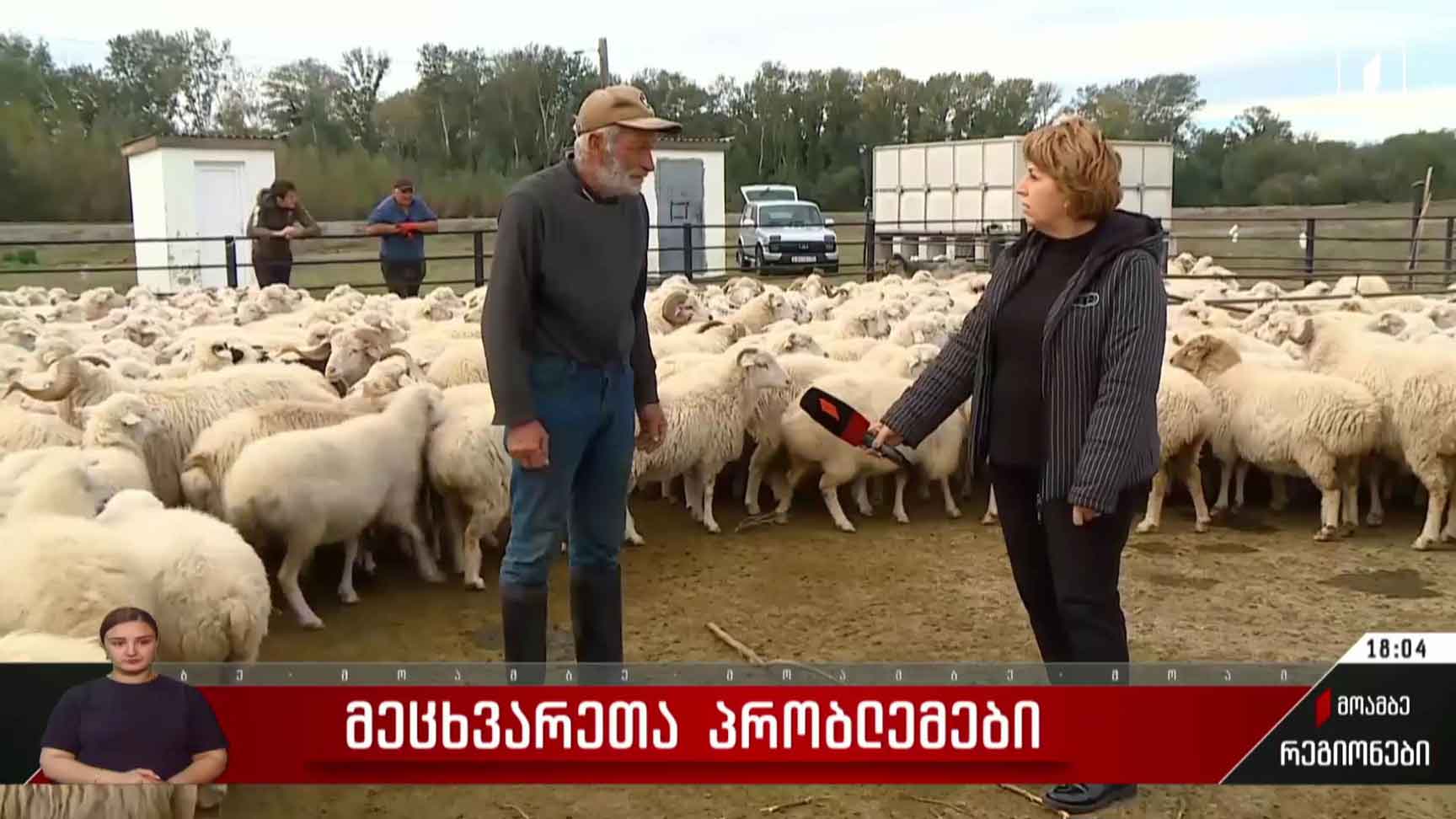 მეცხვარეთა გამოწვევები - 1TV