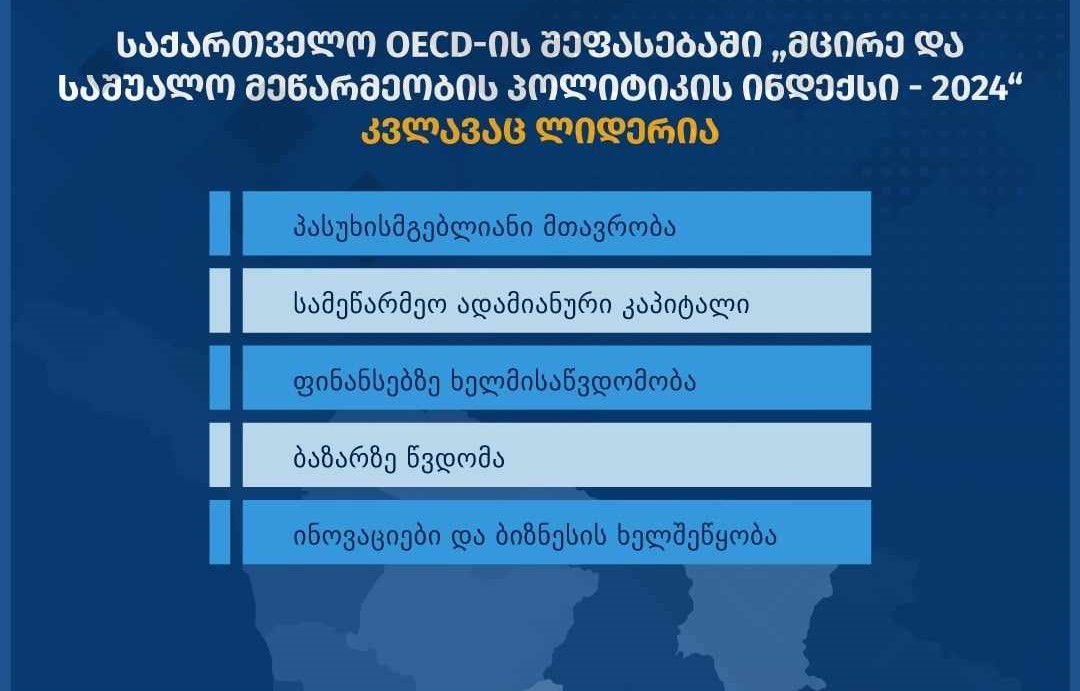 ეკონომიკის სამინისტრო - საქართველო OECD-ის შეფასებაში „მცირე და საშუალო მეწარმეობის პოლიტიკის ...