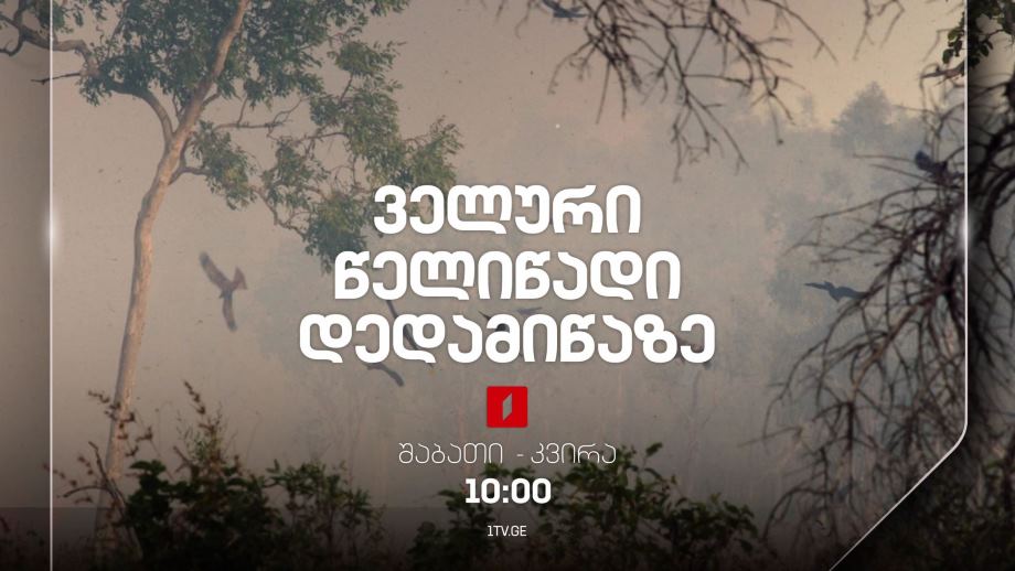 „ველური წელი დედამიწაზე“ - ყოველ შაბათ-კვირას, 10:00 - 1TV