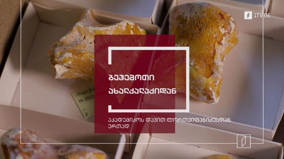 ბეჰემოთი ახალქალაქიდან - 1TV