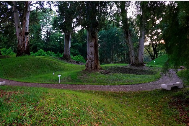 Shekvetili Dendrological Park opens for visitors (PHOTO/VIDEO) - 1TV