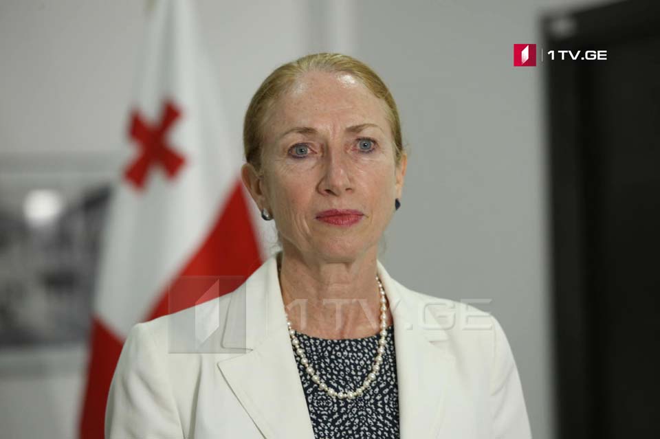US Ambassador on Nika Gvaramia: Important for public to remove any ...