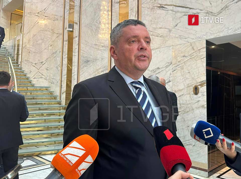 Romanian Ambassador hopes for unanimous decision on Georgia's candidate ...