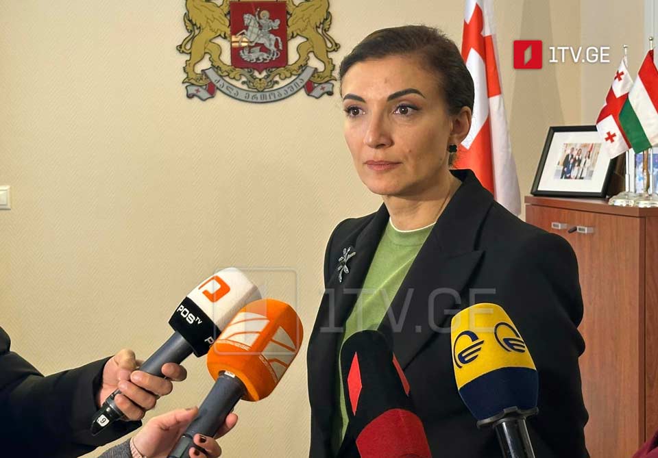 Georgian Ambassador: Hungary affirms unwavering support for Georgia's ...